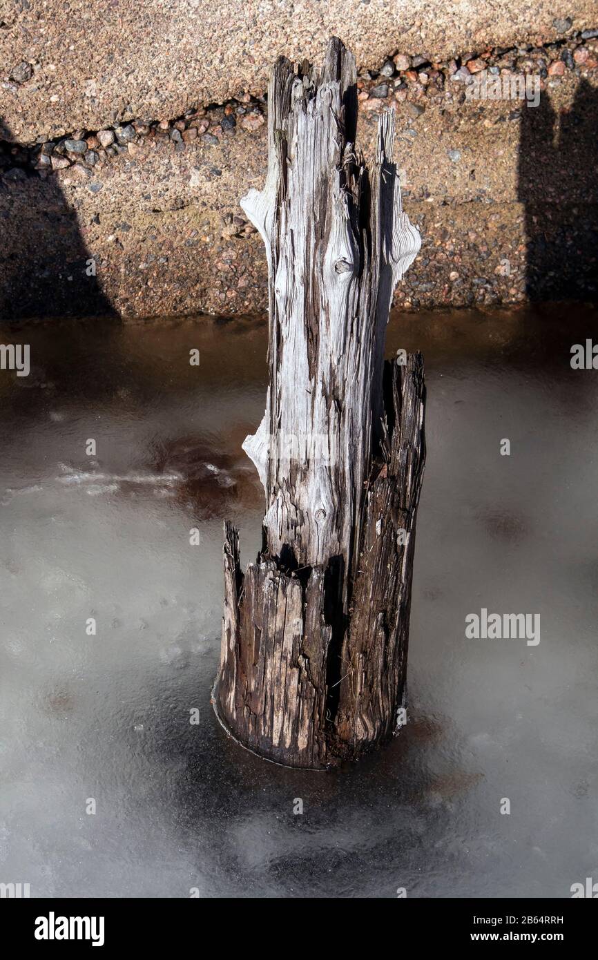 old rotten pole in harbour ice Stock Photo - Alamy