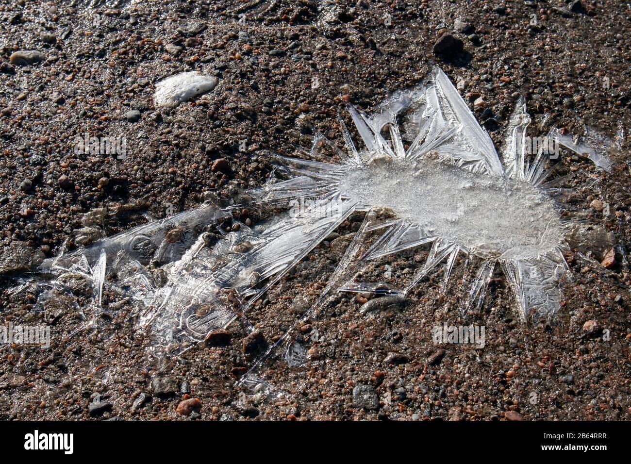 frozen puddle in the ground Stock Photo - Alamy