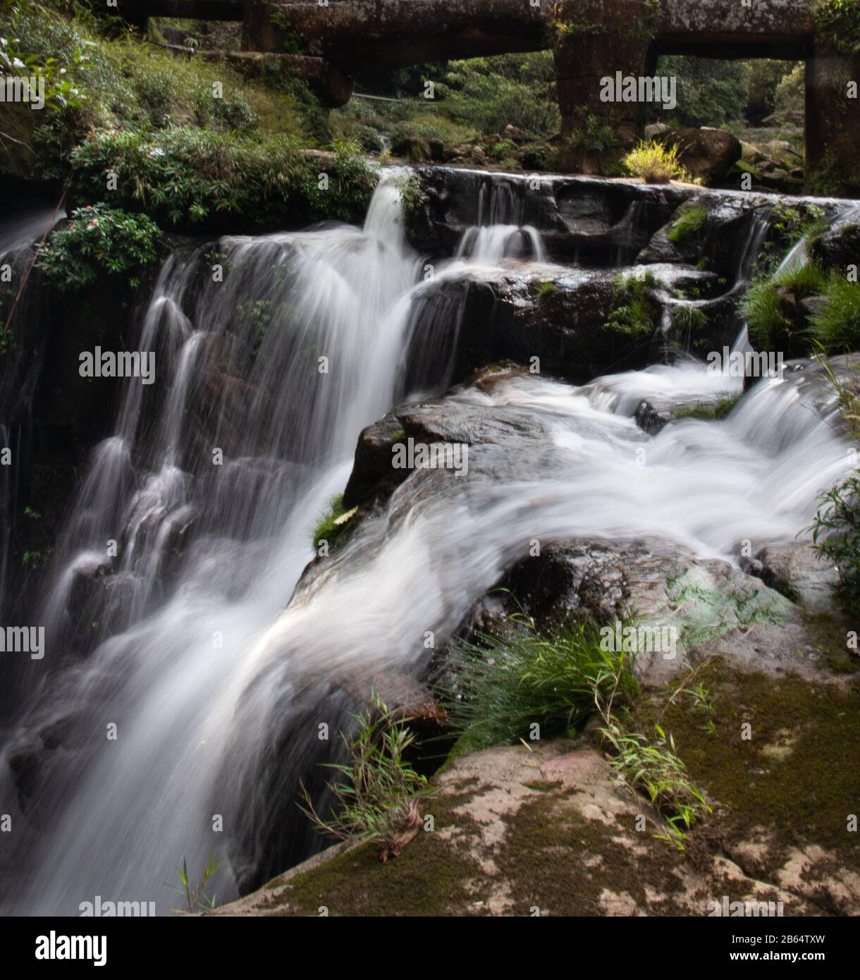 tropical waterfall on summer Stock Photo - Alamy