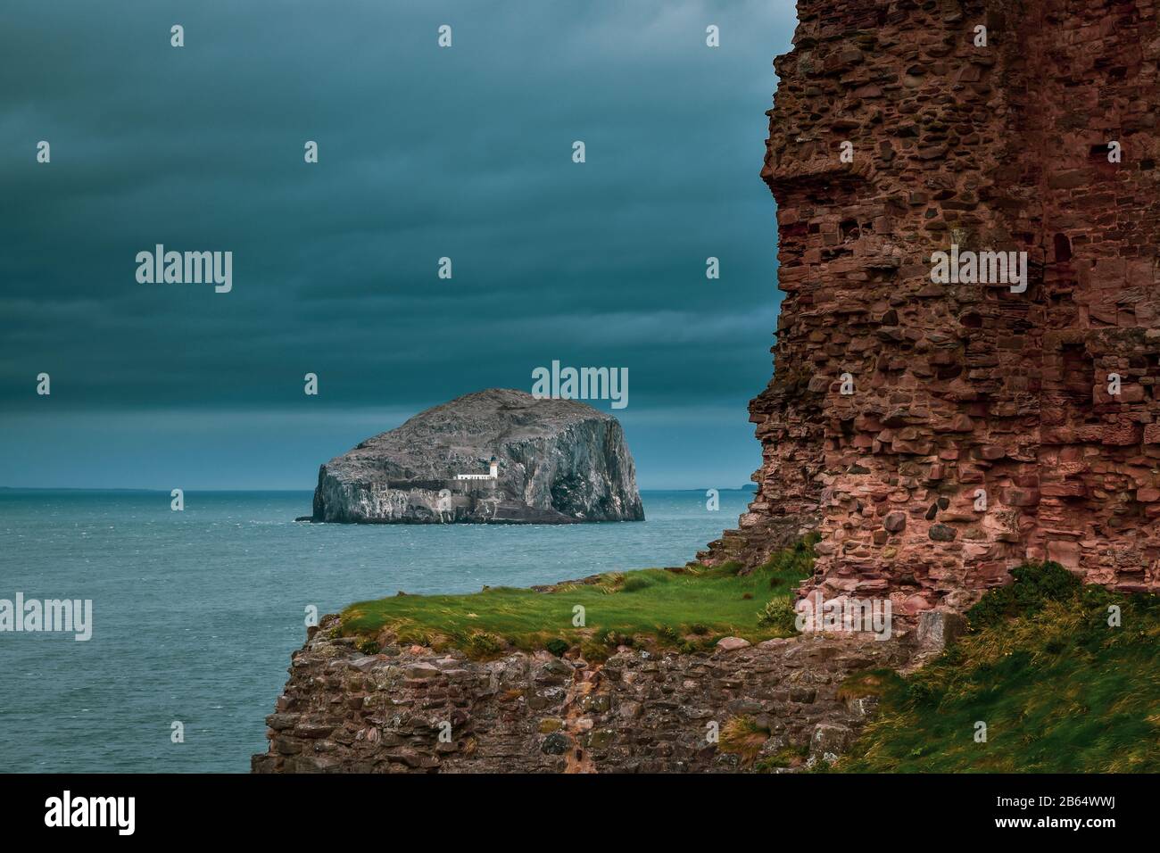 Bass Rock in the Forth Estuary, Scotland, framed by ruins of Tantallon ...