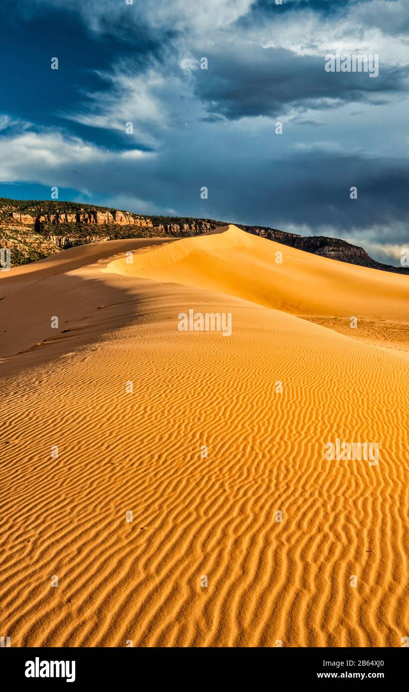 Wind ripples at dunes, sunset, Coral Pink Sand Dunes State Park, Utah ...