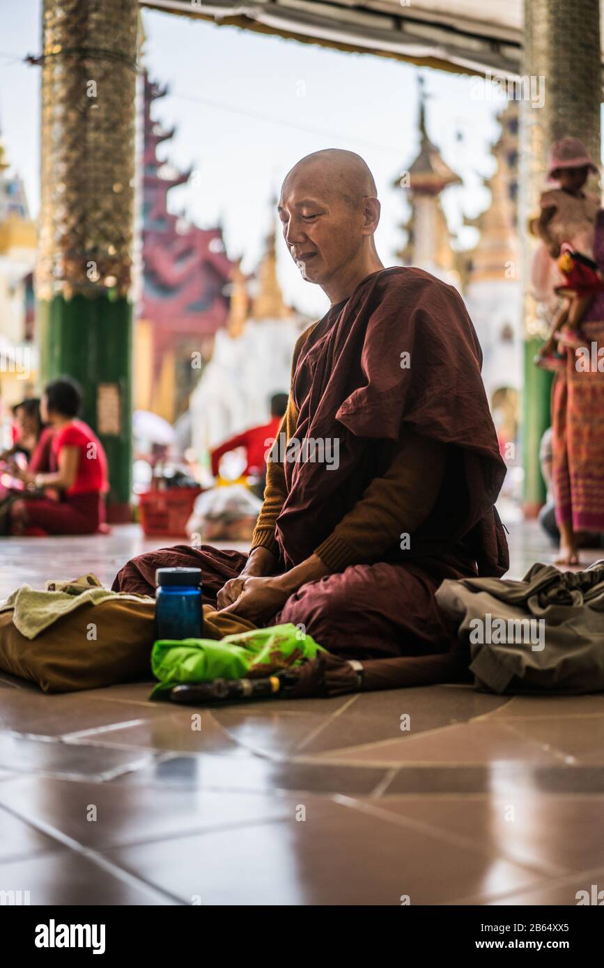 Monk in the Shwedagon Pagoda, Yangon, Myanmar, Asia Stock Photo - Alamy