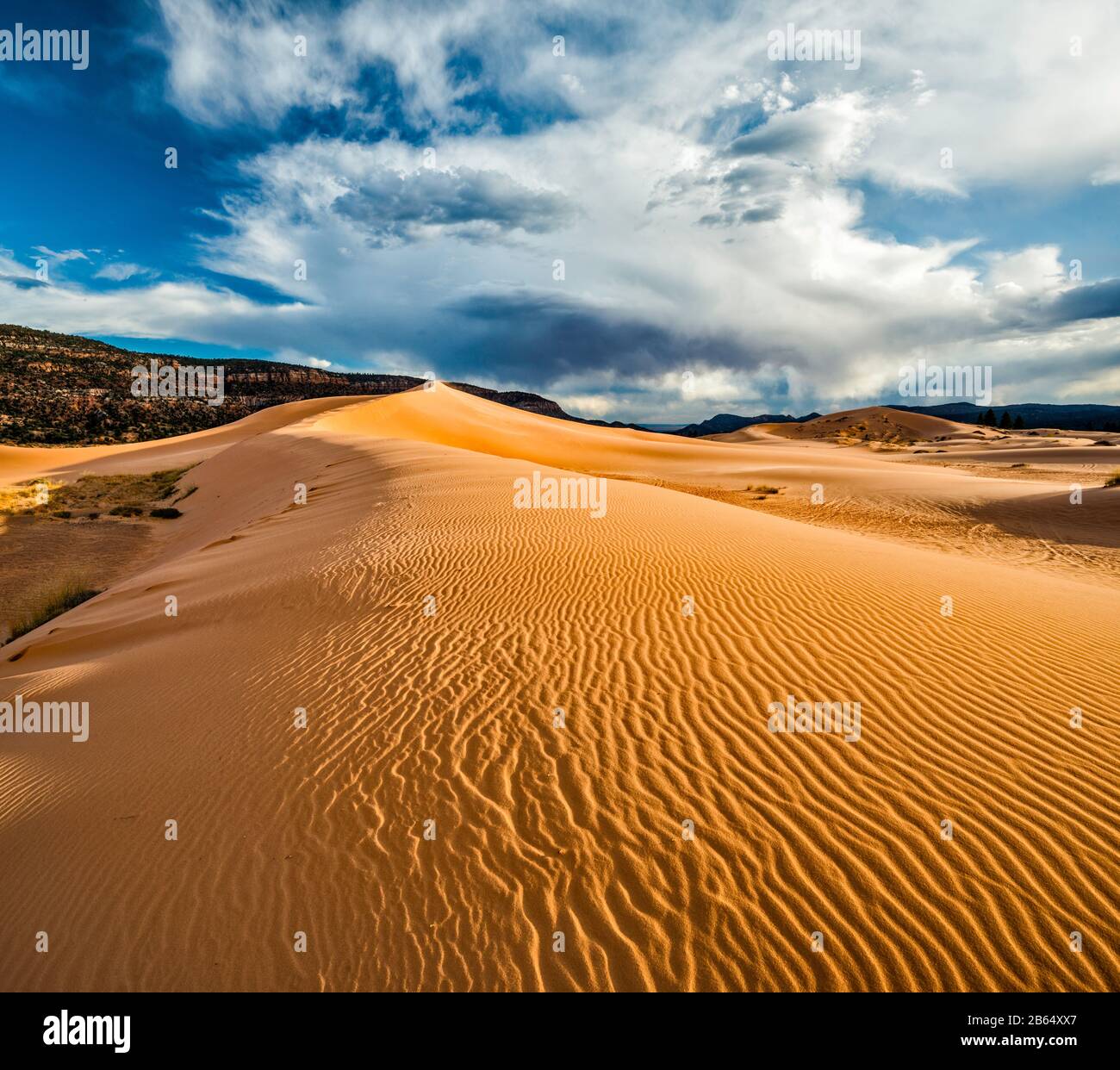 Wind ripples at dunes, sunset, Coral Pink Sand Dunes State Park, Utah ...