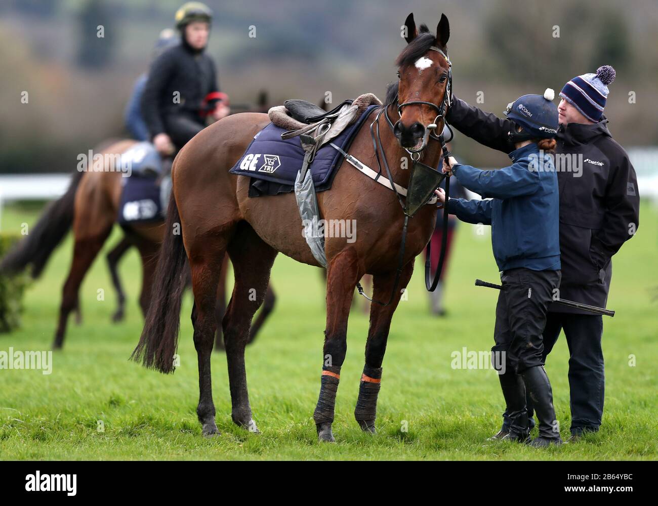 Tiger roll horse hi-res stock photography and images - Alamy