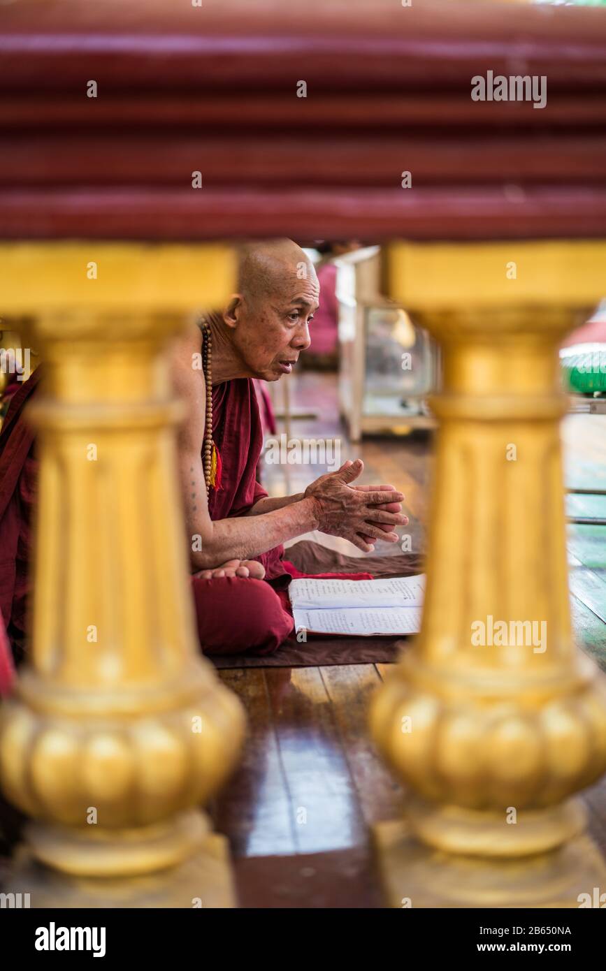 Monk in the Shwedagon Pagoda, Yangon, Myanmar, Asia Stock Photo - Alamy