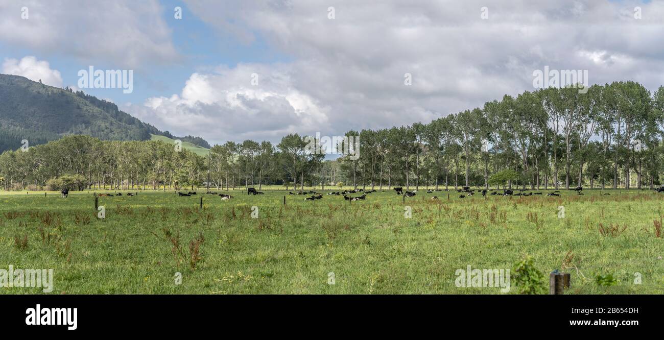 Flat countryside hi-res stock photography and images - Alamy