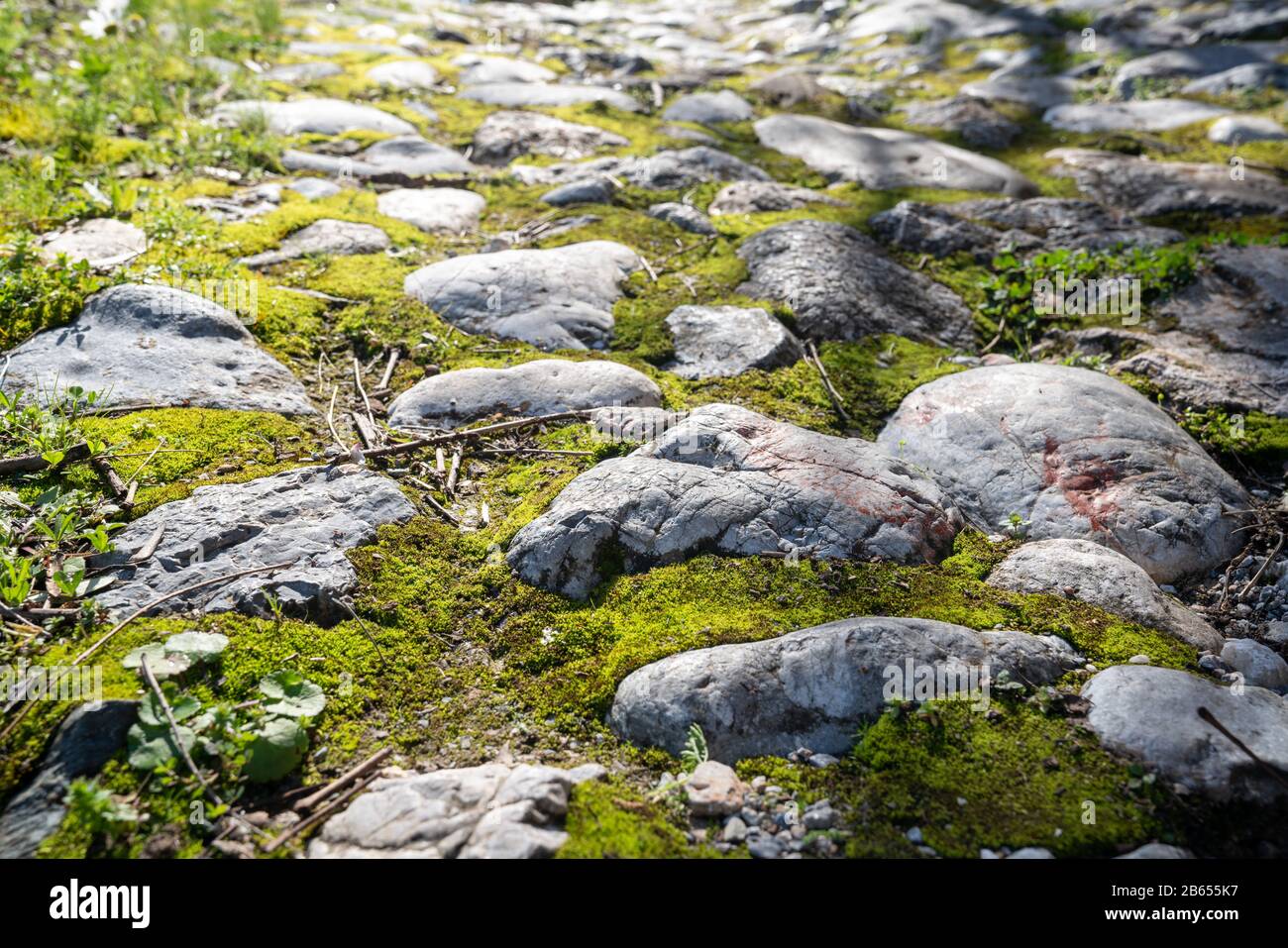 Ancient footpath from block stones from medieval age, texture stones ...