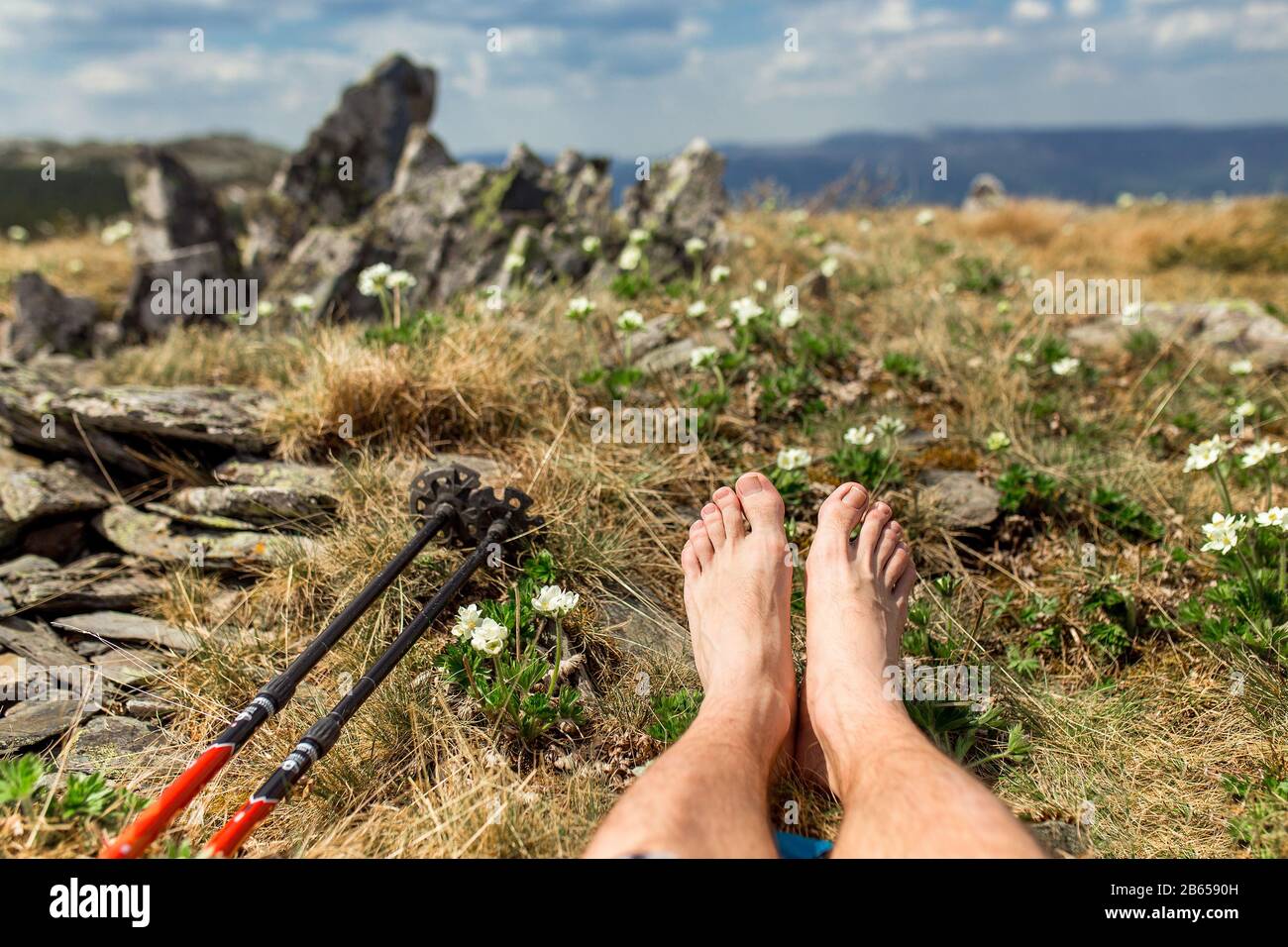 Bare feet and trekking poles of tourist hiker Stock Photo - Alamy