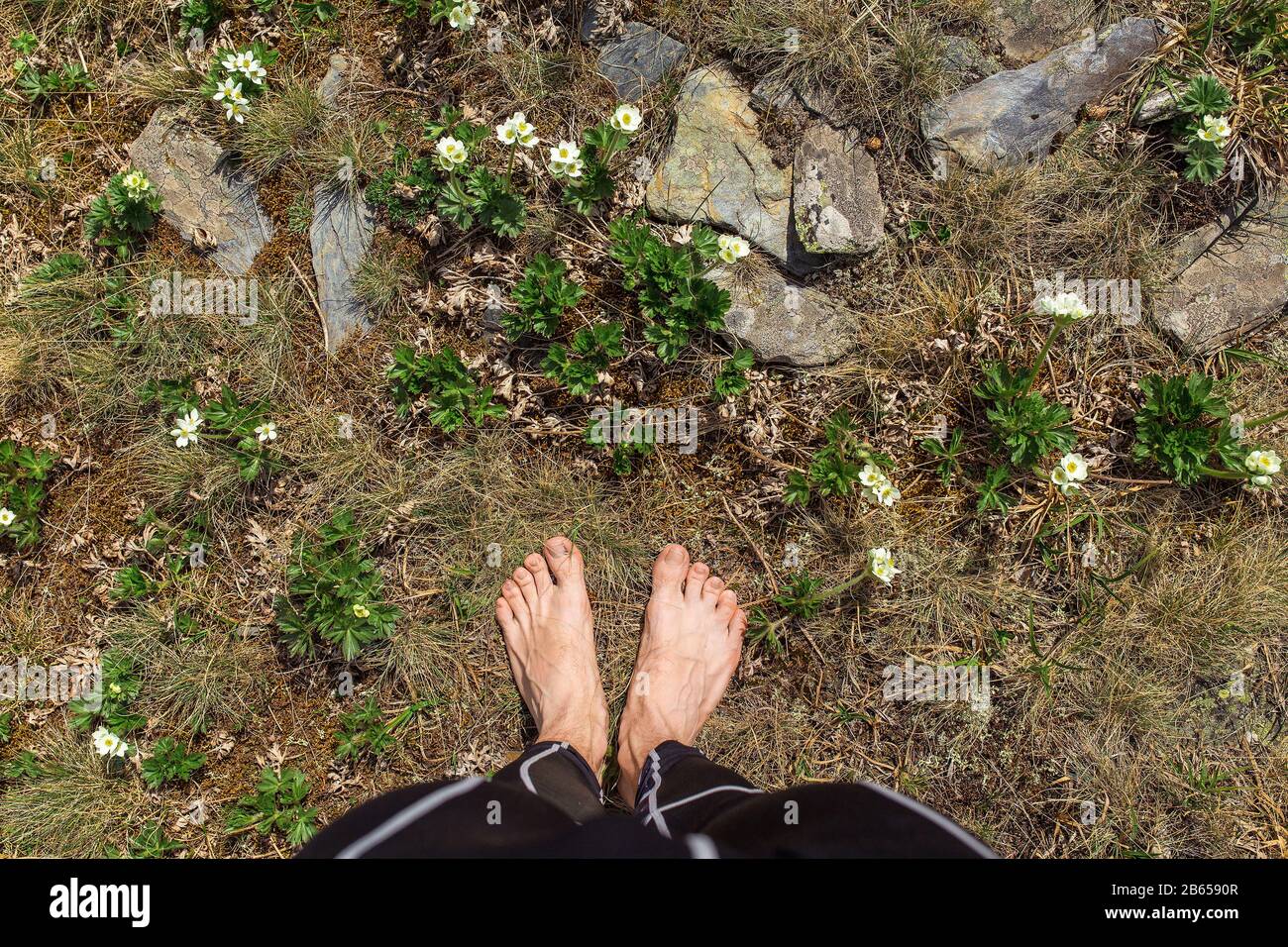 foot and legs with spring nature background of grass and flowers Stock ...