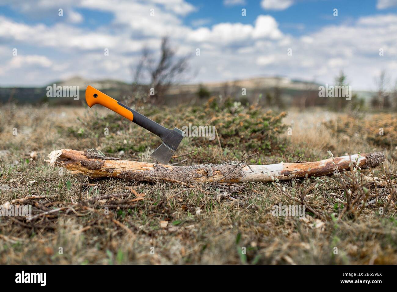 Axe cutting log in the forest on nature background Stock Photo - Alamy