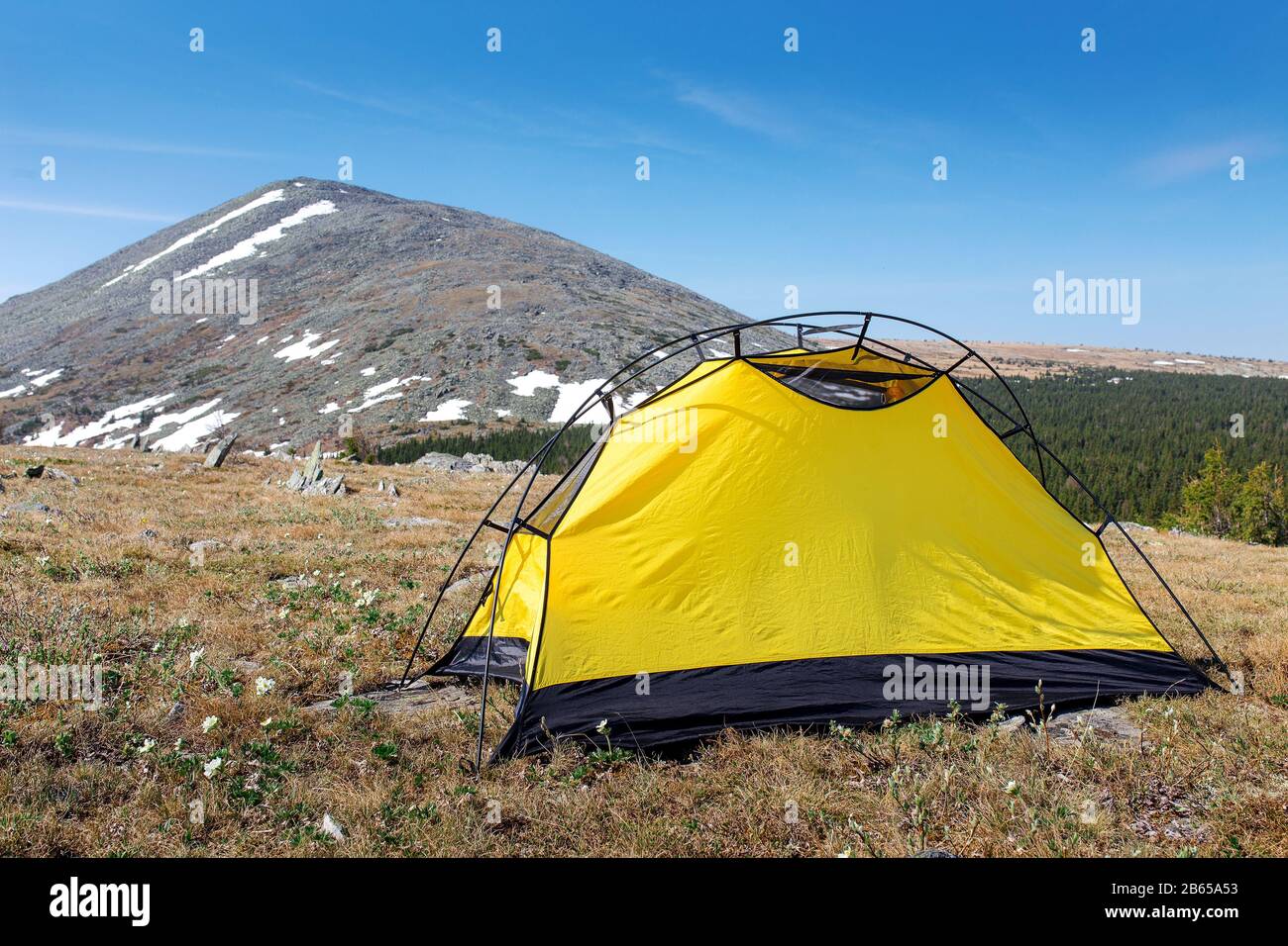 Camping with yellow tent on a sunny day Stock Photo - Alamy