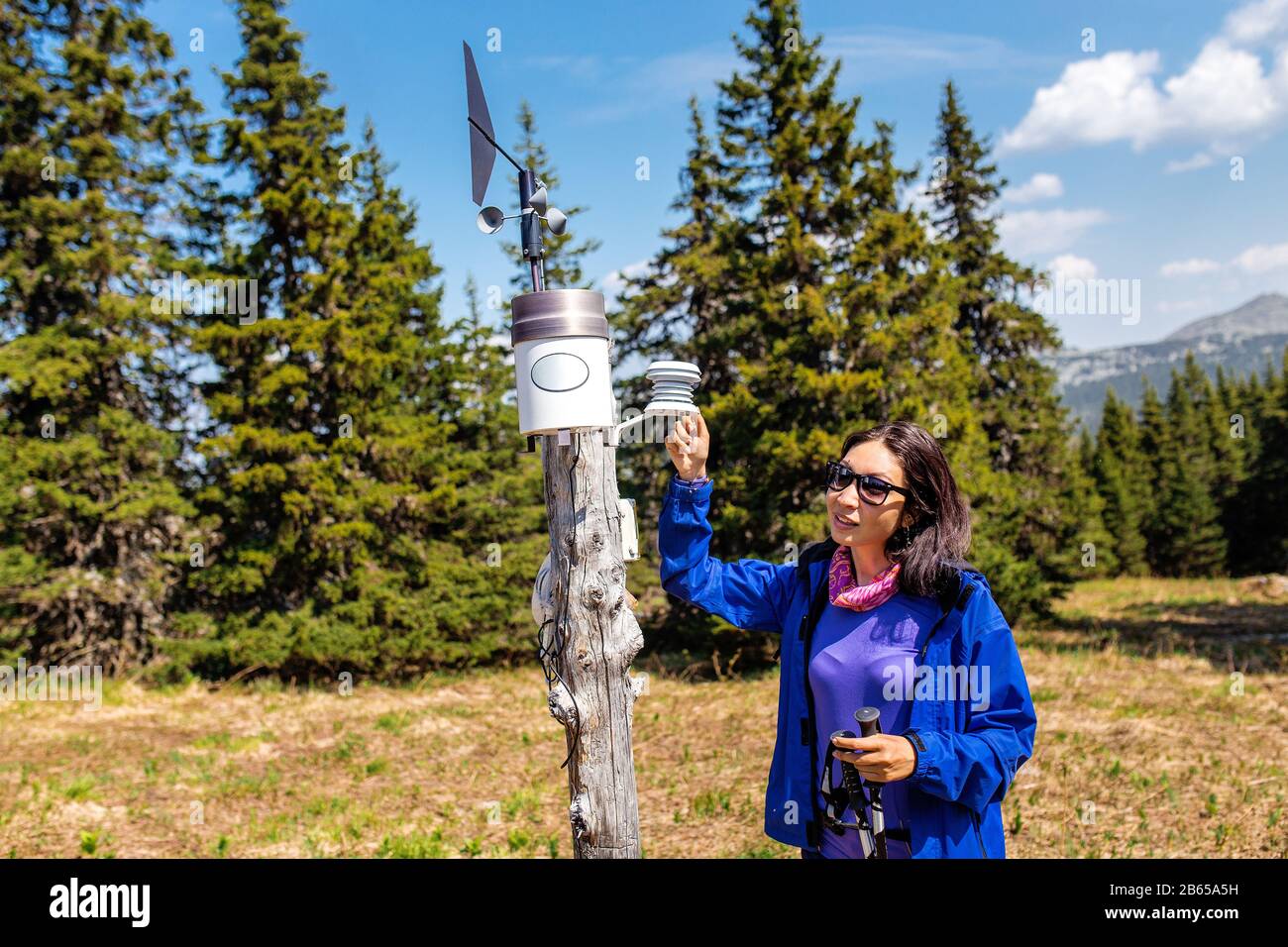 Devices meteorological station in wild forest reserve Stock Photo - Alamy