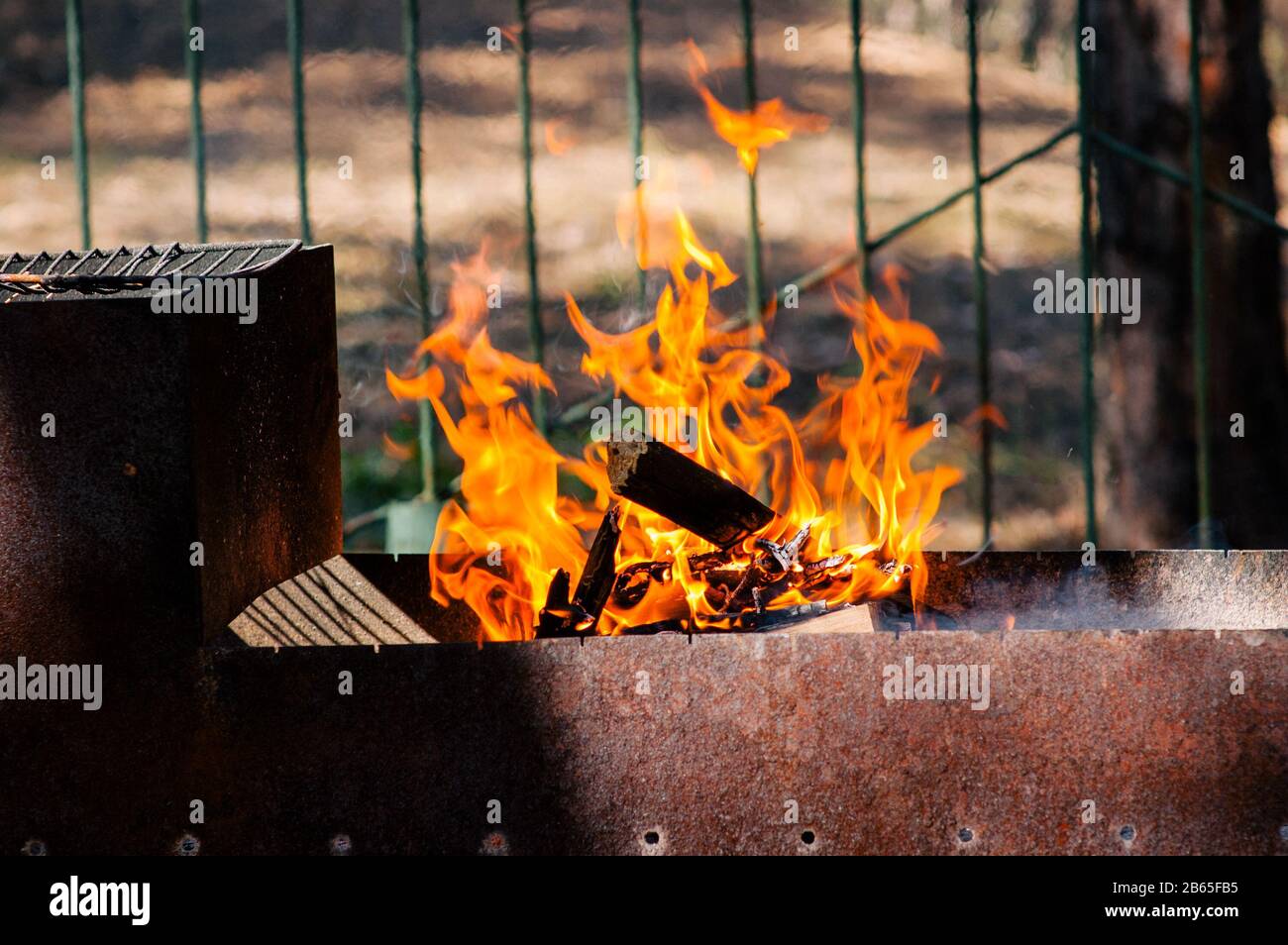 Grill. Bonfire BBQ nature. Bonfire cooking on the grill. Picnic ...