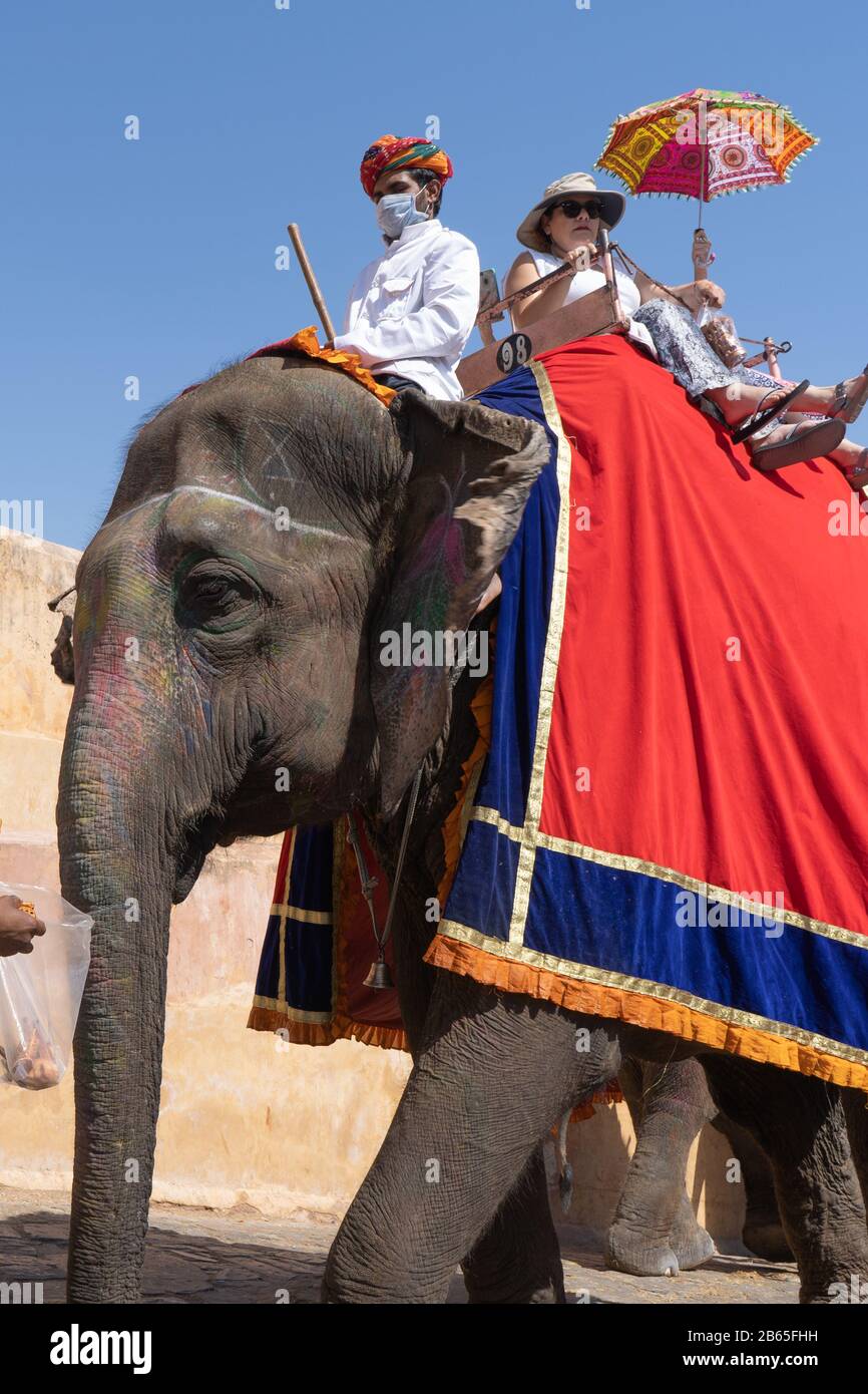 Shot of line of elephants covered in red cloth with tourists riding on ...
