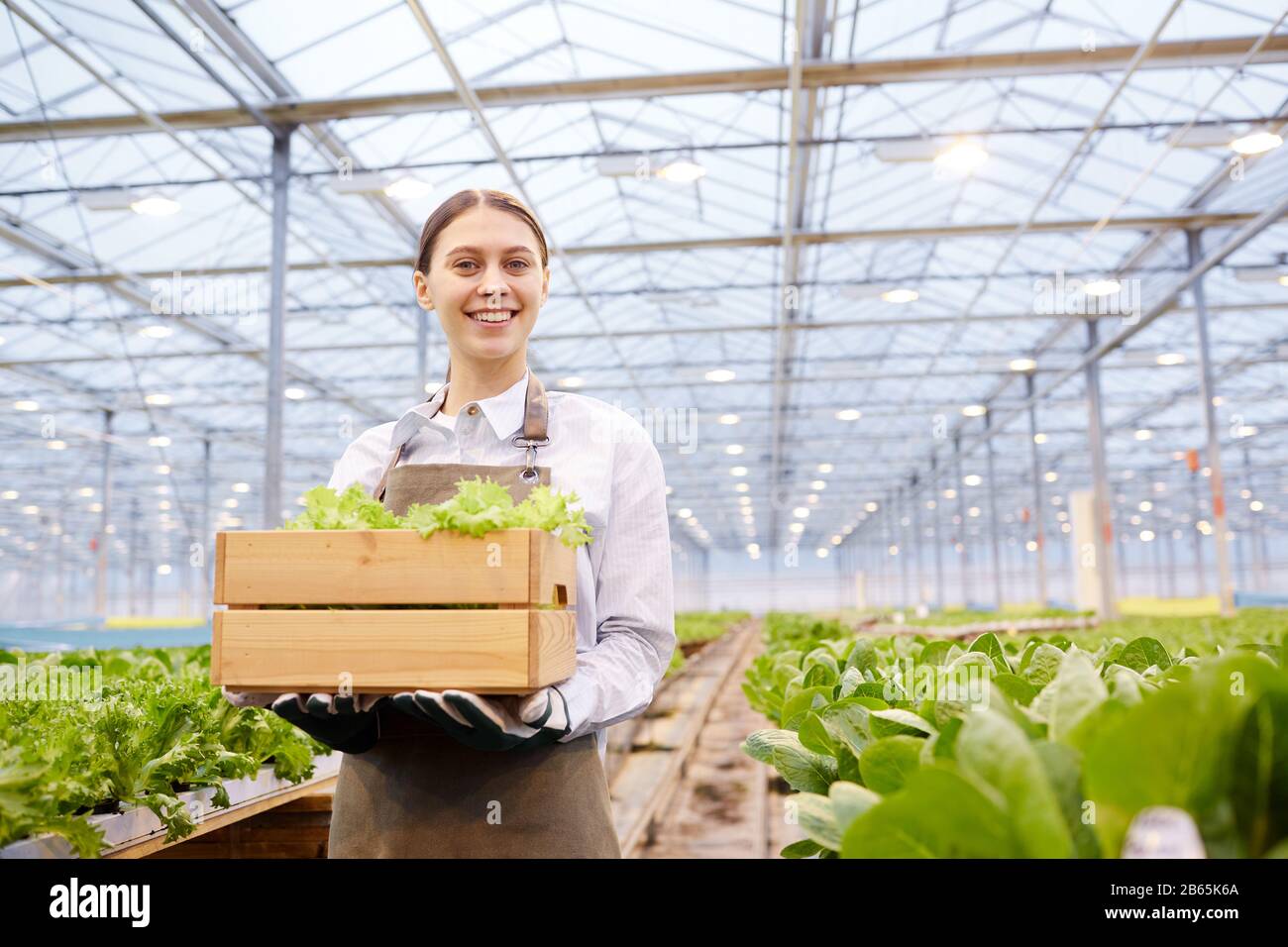 Industrial plantation hi-res stock photography and images - Alamy