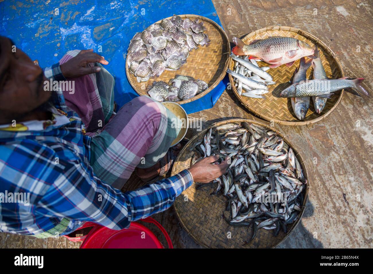 Fish is very important for the culture and history of the Indian ...