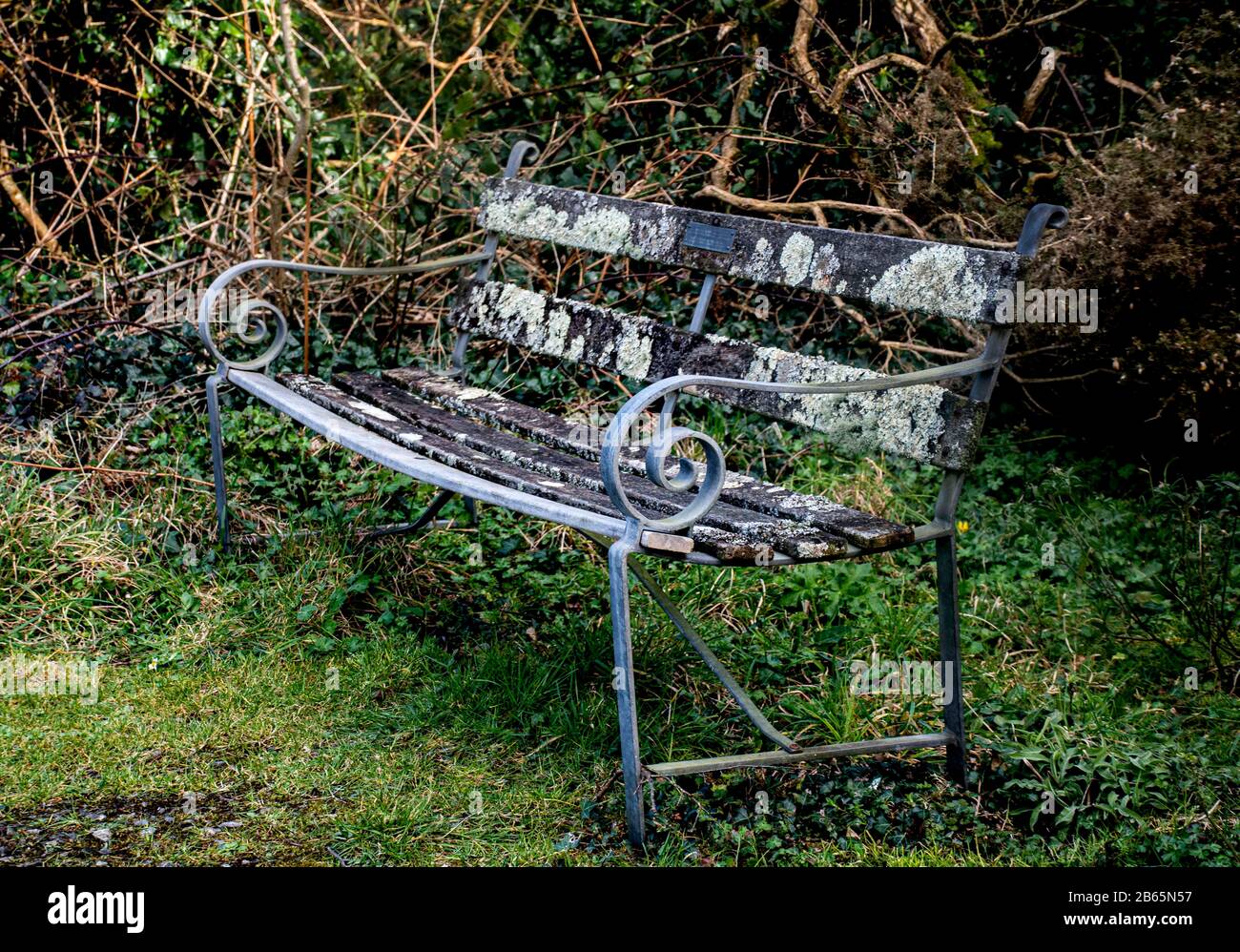 Rust old abandoned bench in coastal land Stock Photo - Alamy
