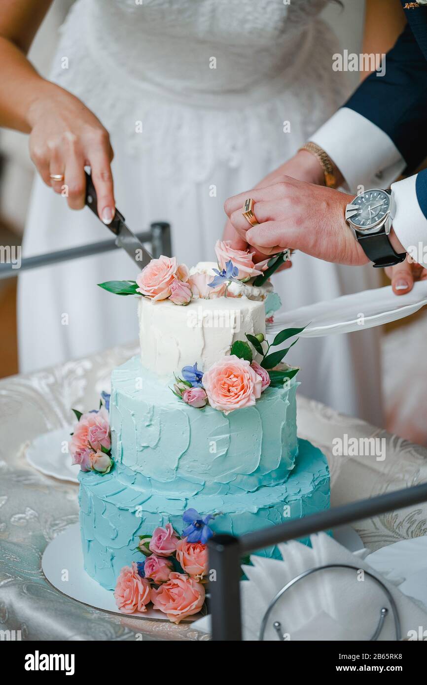 Turquoise And Pink Wedding Cake