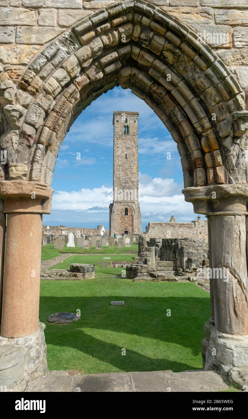 View of the St. Rule's tower at St Andrews Cathedral seen through an ...