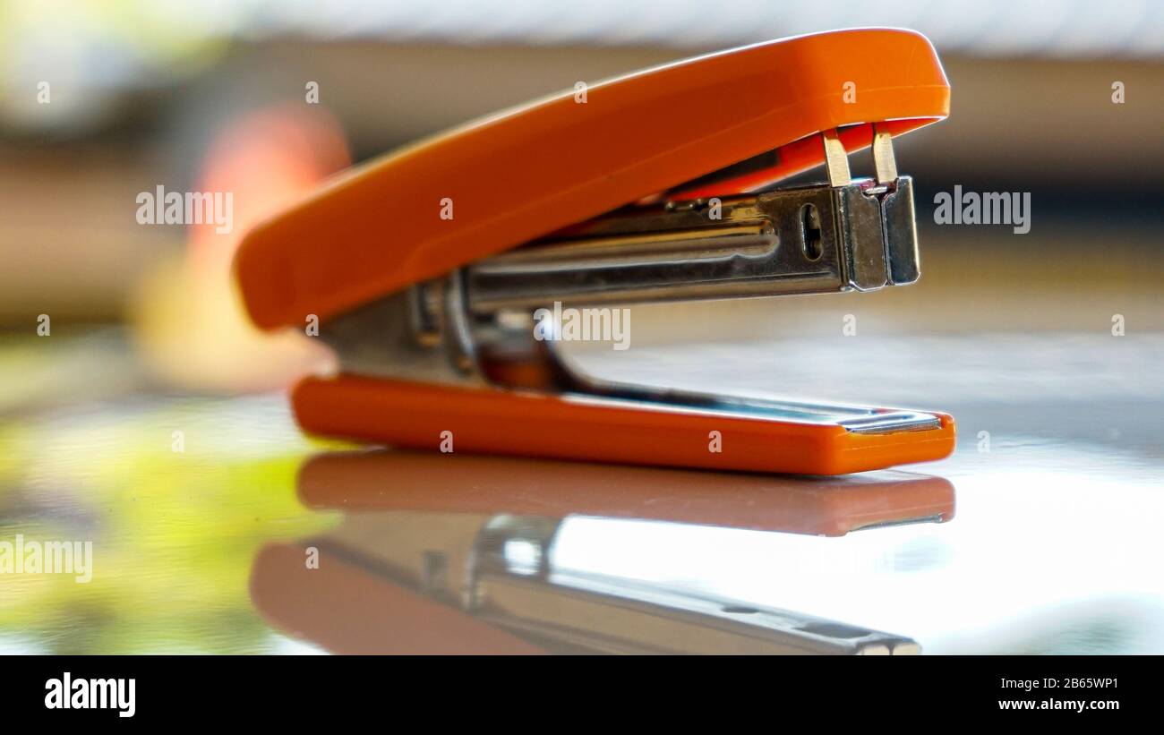 Close up of the orange stapler on the table Stock Photo - Alamy