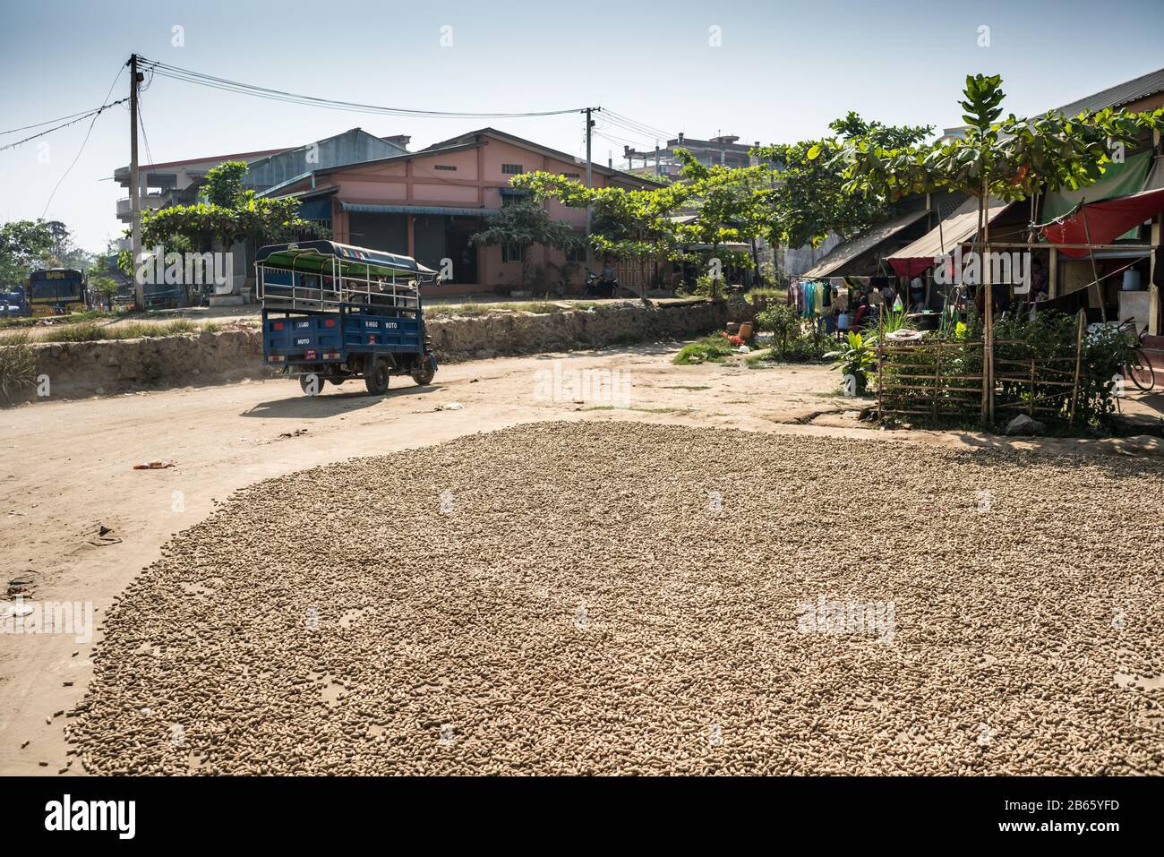 Drying of peanuts in the street, Hpa-An, Myanmar, Asia Stock Photo - Alamy