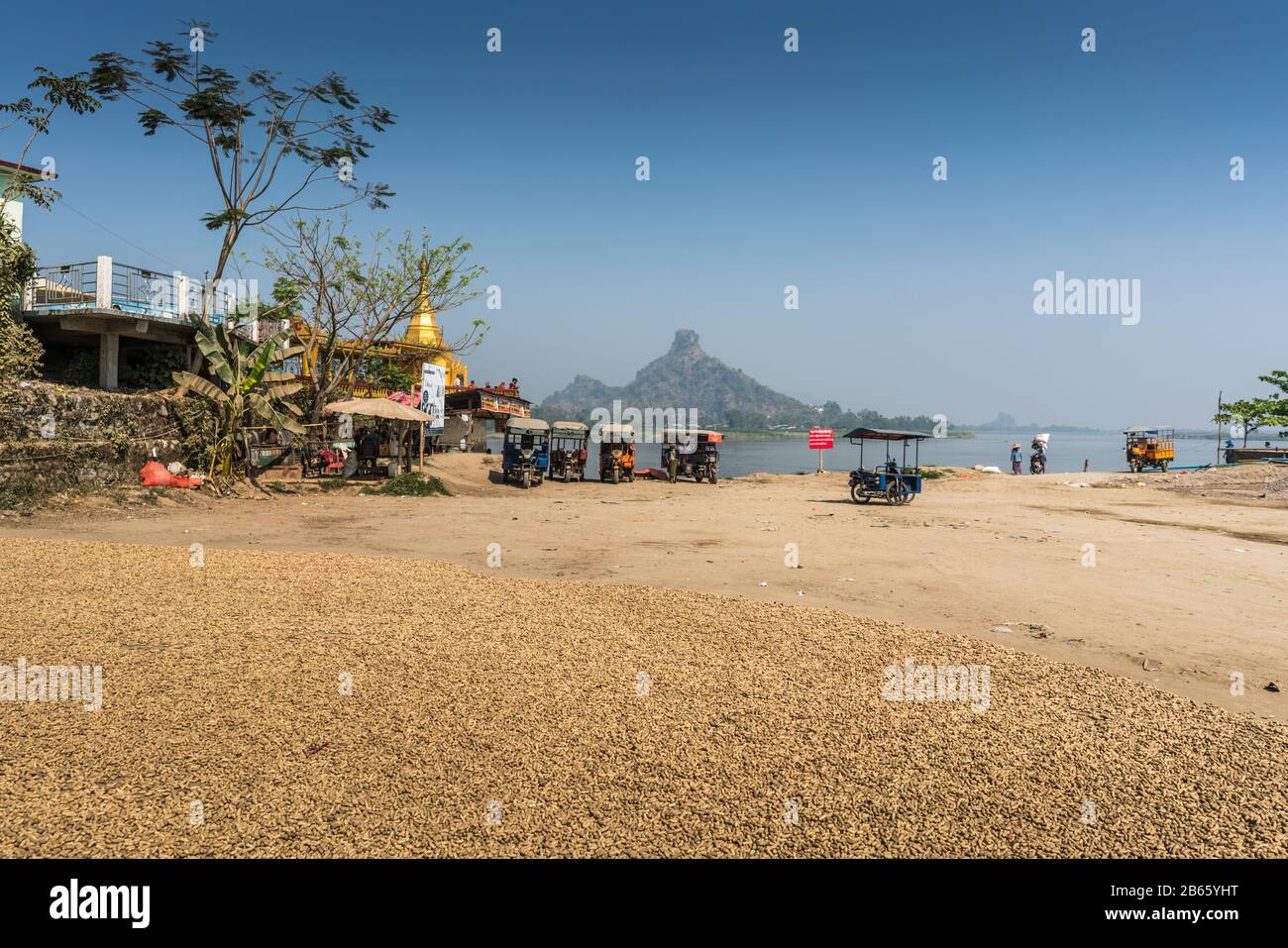 Drying of peanuts in the street, Hpa-An, Myanmar, Asia Stock Photo - Alamy