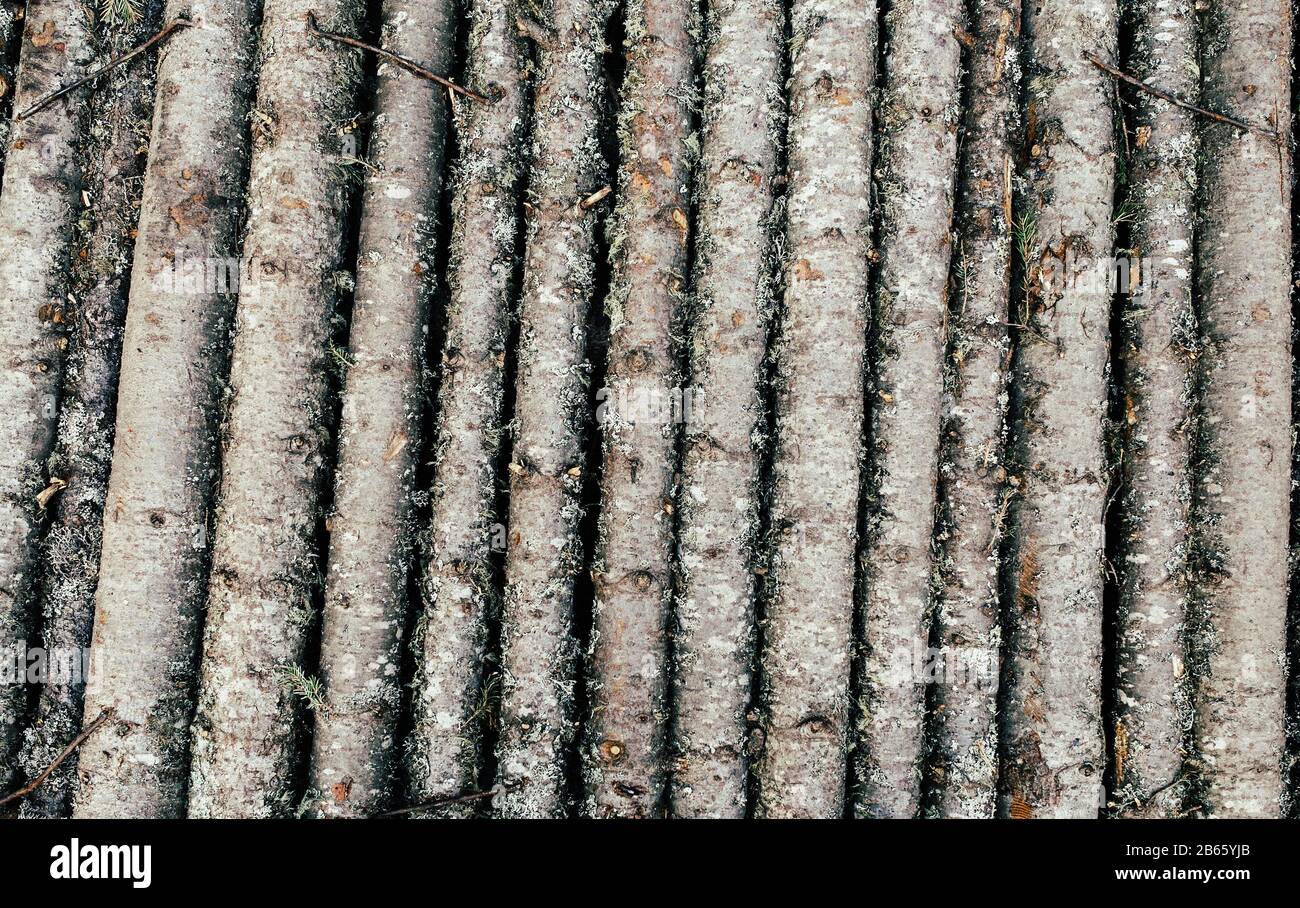 Natural background - a fence made of thin logs of spruce Stock Photo ...