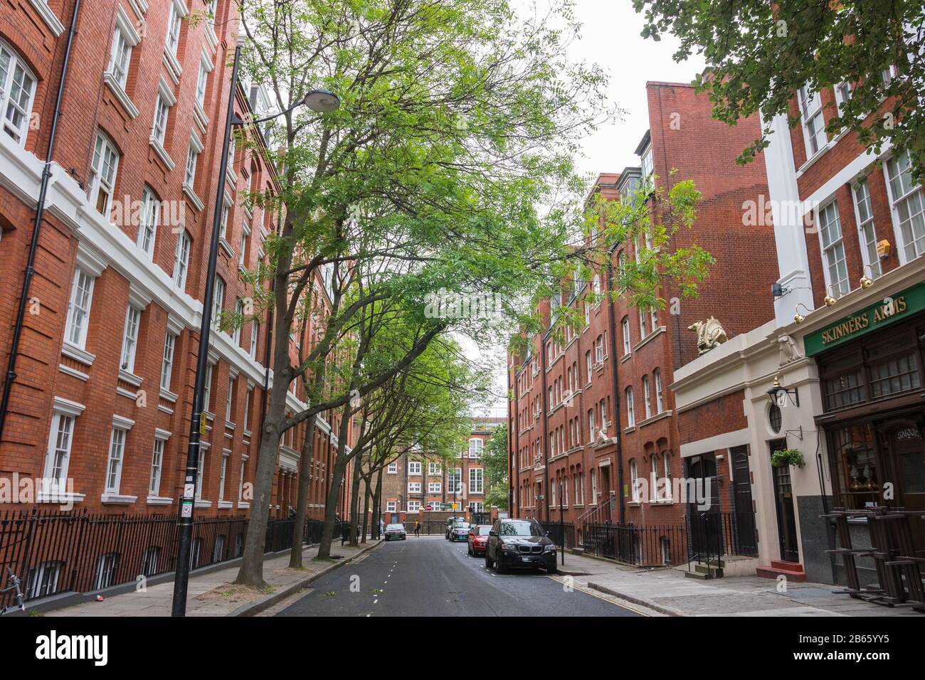 Townhouse london street tree hi-res stock photography and images - Alamy