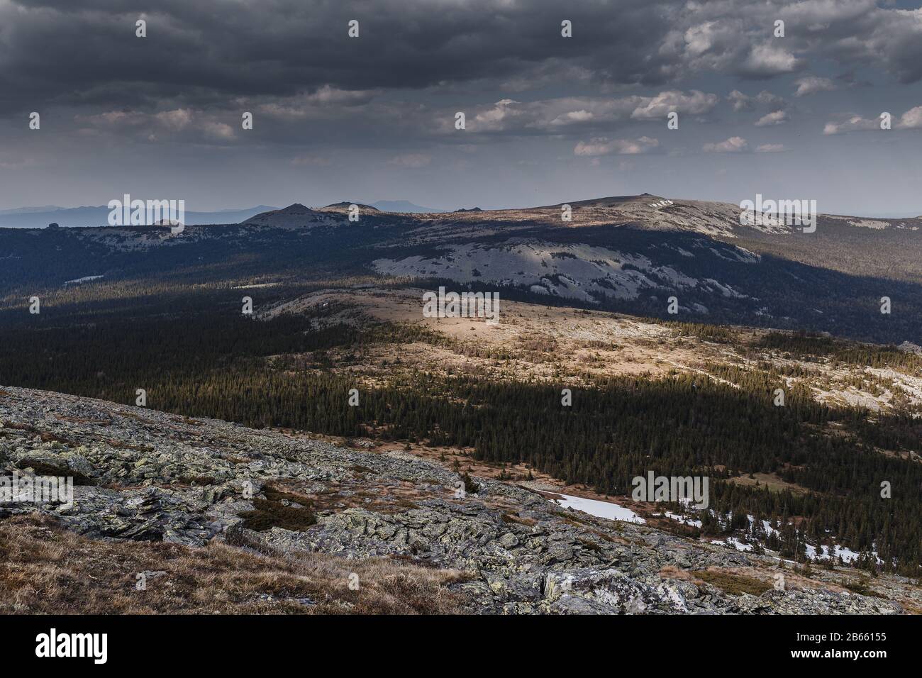 Ural Taiga Coniferous spring wild forest Stock Photo - Alamy