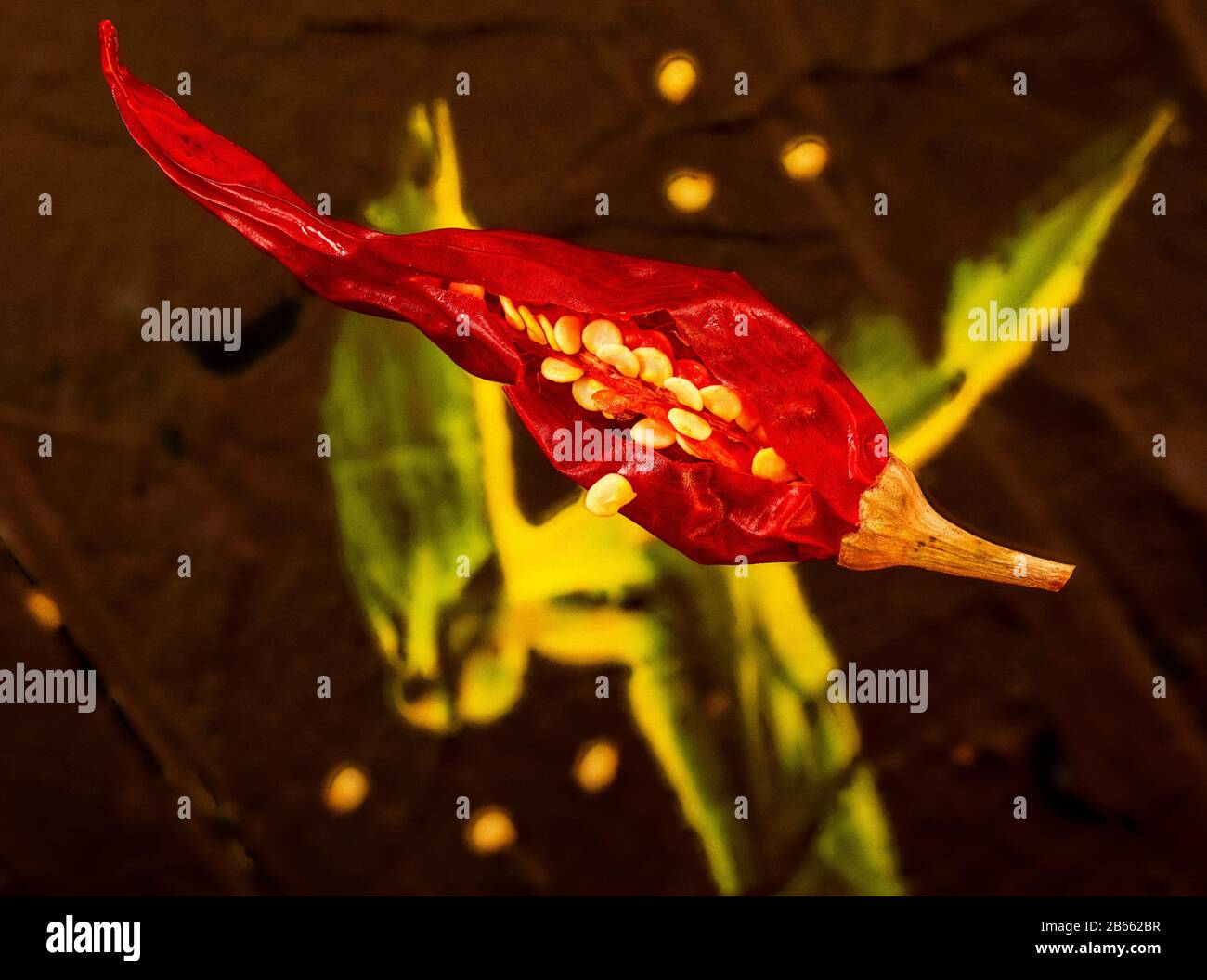 Skinny peppers hi-res stock photography and images - Alamy
