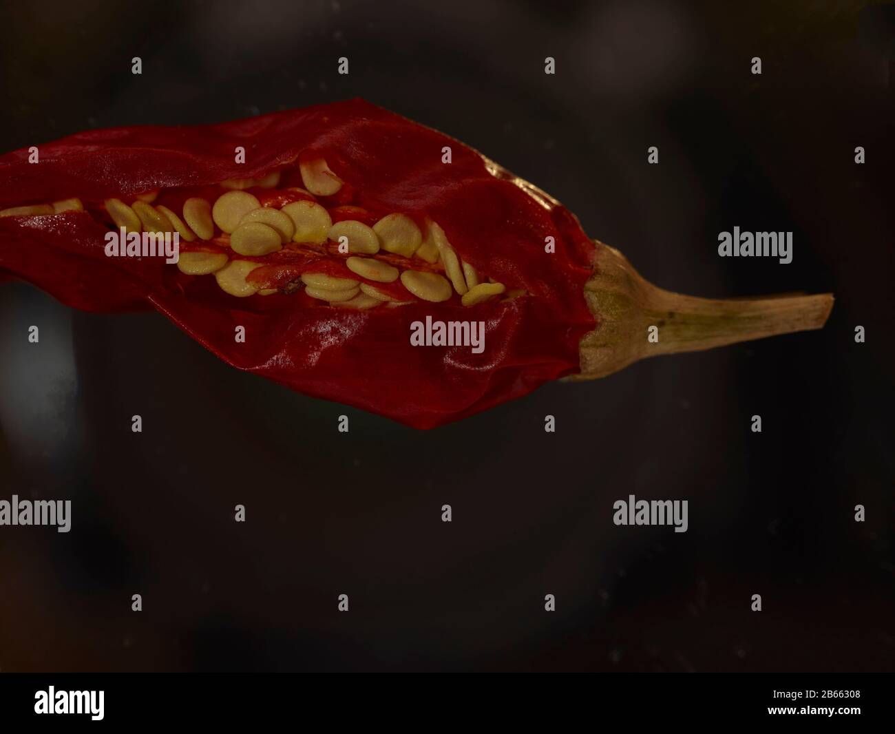 Split red cayenne pepper showing the seeds close-up food portrait still ...