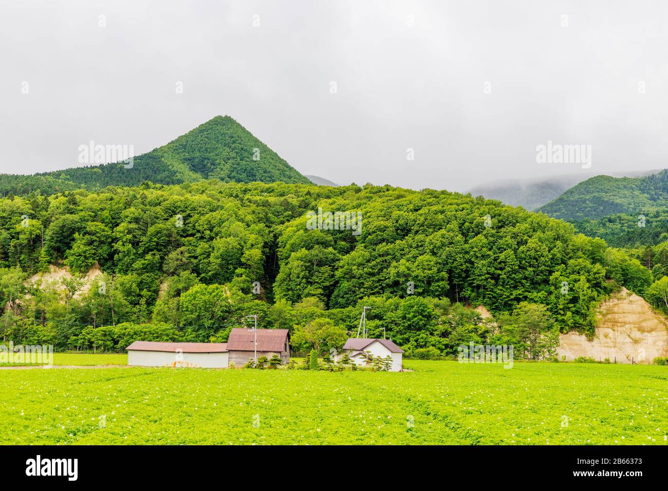 Japan, Hokkaido, rural farm Stock Photo - Alamy