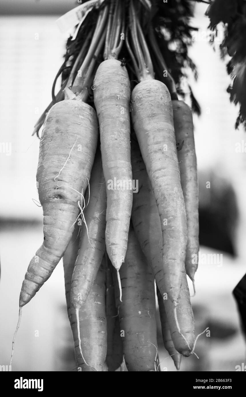 Fresh mushroom preparation Black and White Stock Photos & Images - Alamy