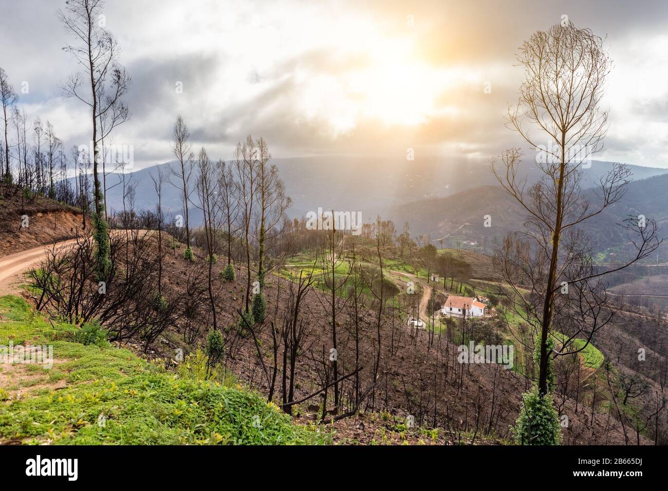 Natural disaster after fires in the Portuguese forest of Monchique, the ...