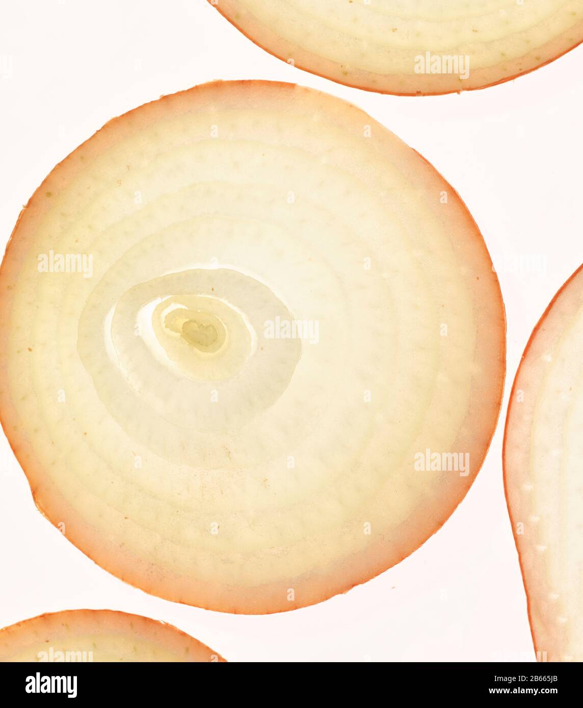 Circular onion slices abstract food still-life on white background ...