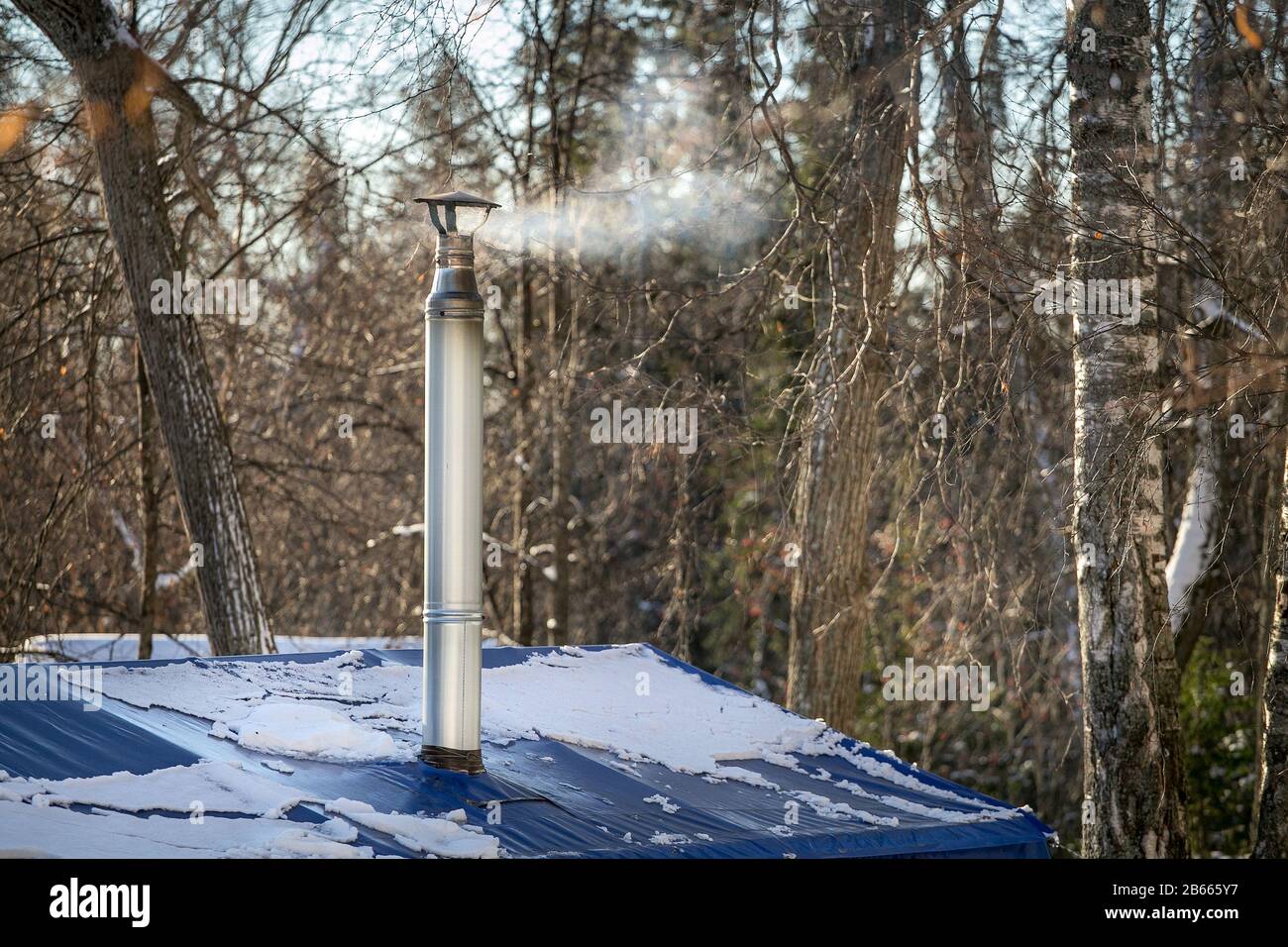 Pipe with smoke in winter forest Stock Photo - Alamy
