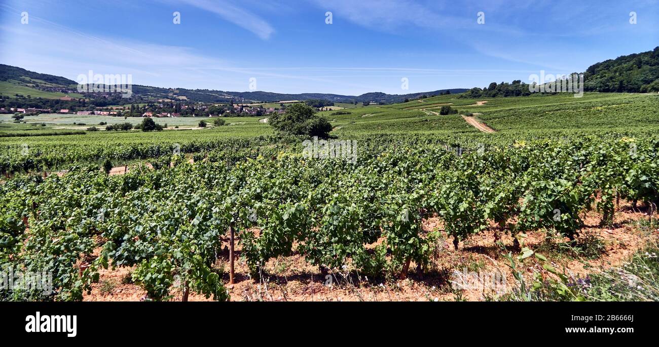 Comte de vaux hi-res stock photography and images - Alamy