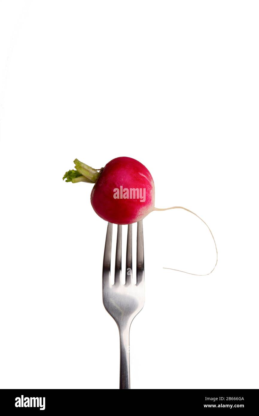 One radish on fork isolated on white background Stock Photo - Alamy