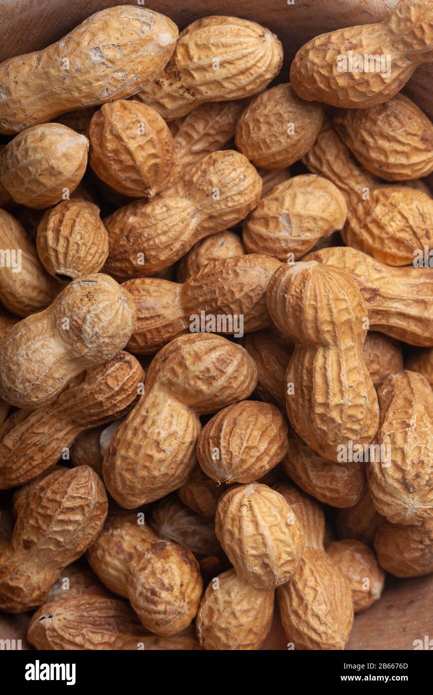 Peanut in shell, close-up Stock Photo - Alamy