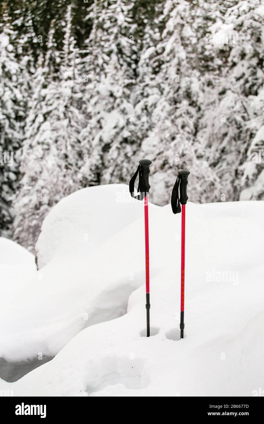 Snow height poles hi-res stock photography and images - Alamy