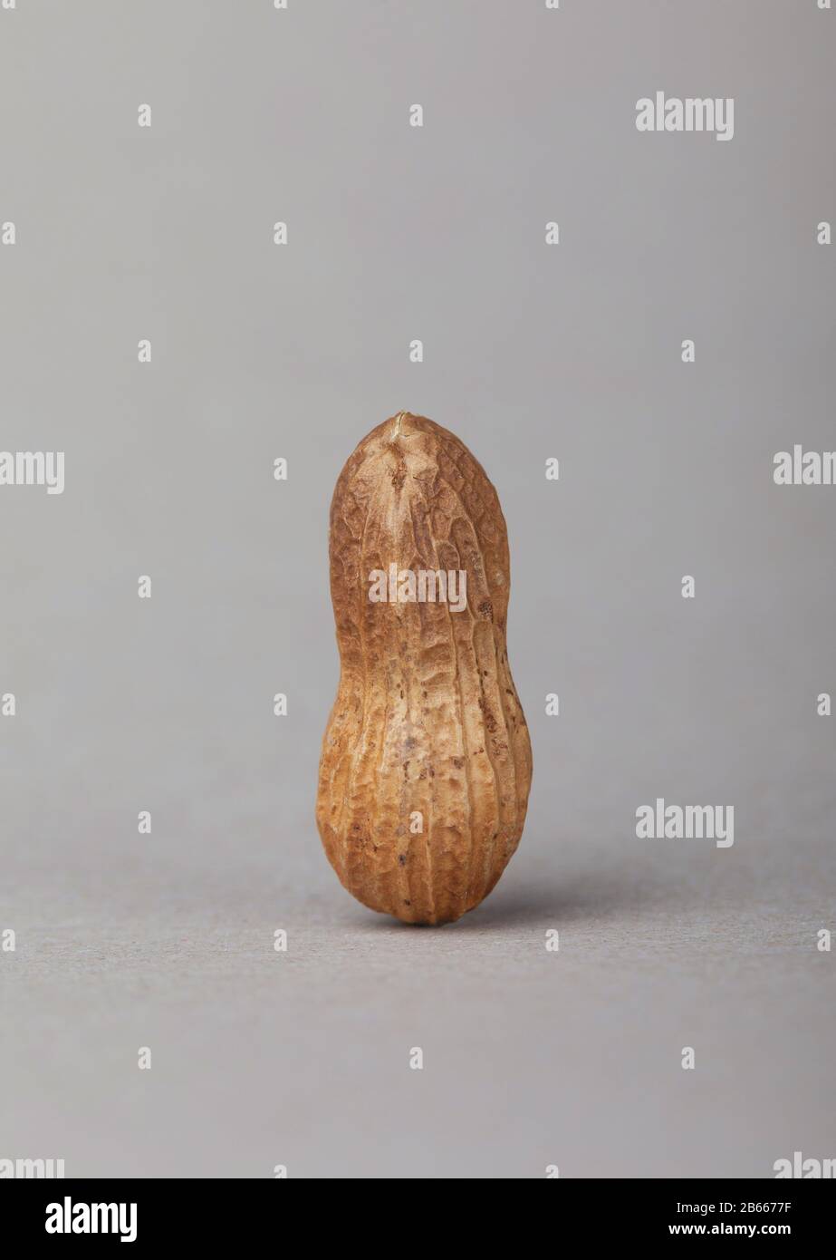 Standing in shell hi-res stock photography and images - Alamy