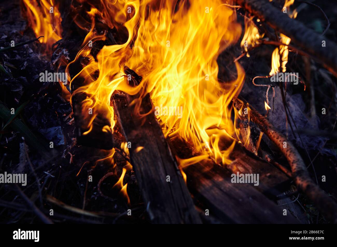 Orange flame of a fire. Arson or natural disaster. Fire in nature ...