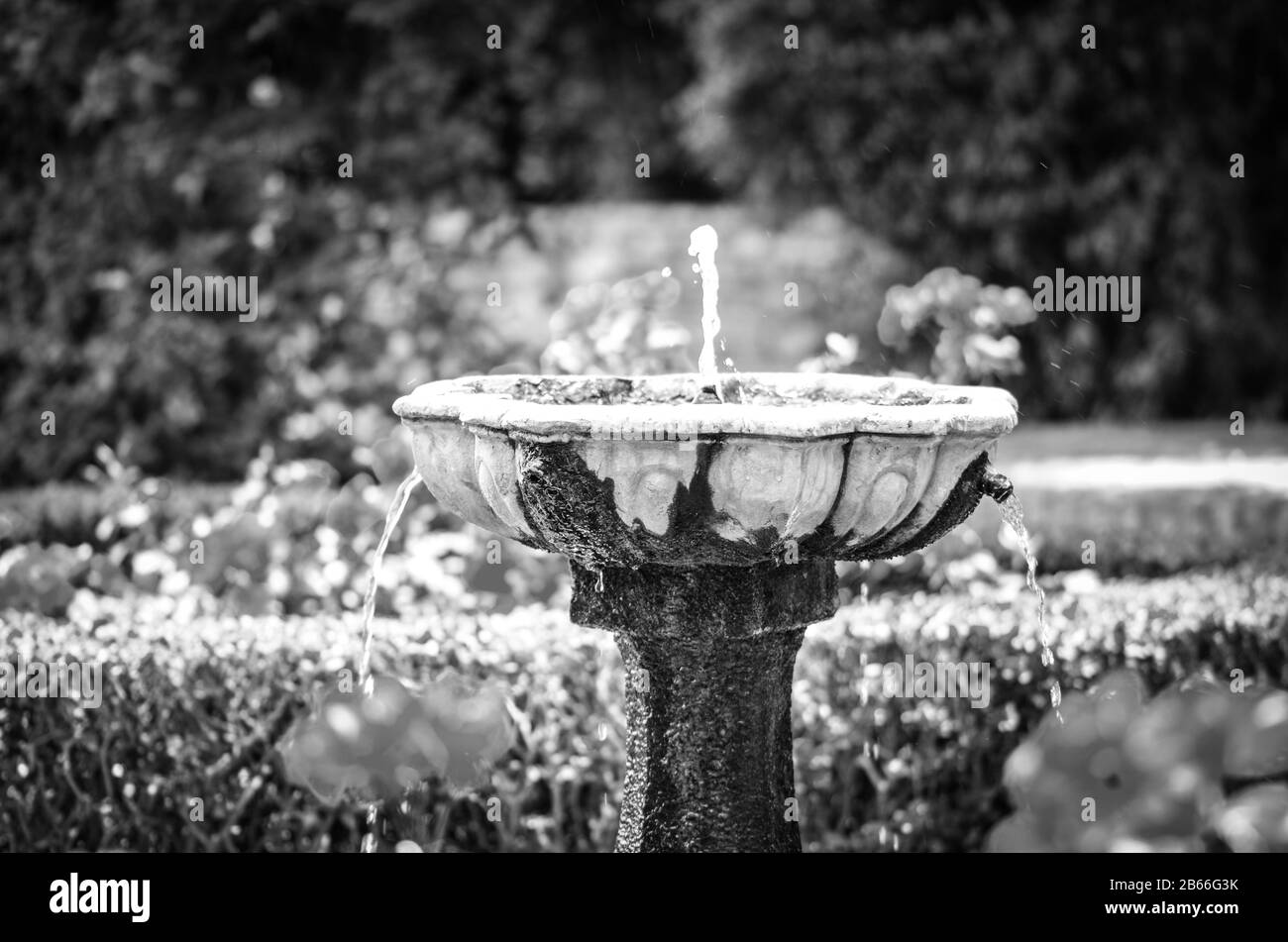 Pure spring water source Black and White Stock Photos & Images - Alamy