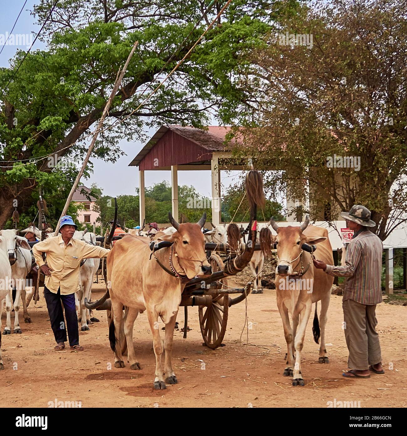 Kampong tralach hi-res stock photography and images - Alamy