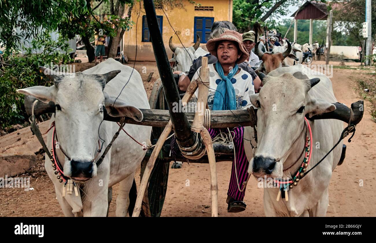 Cambodia, Siem Reap Province. Traditional KAMPONG TRALACH agricultural ...