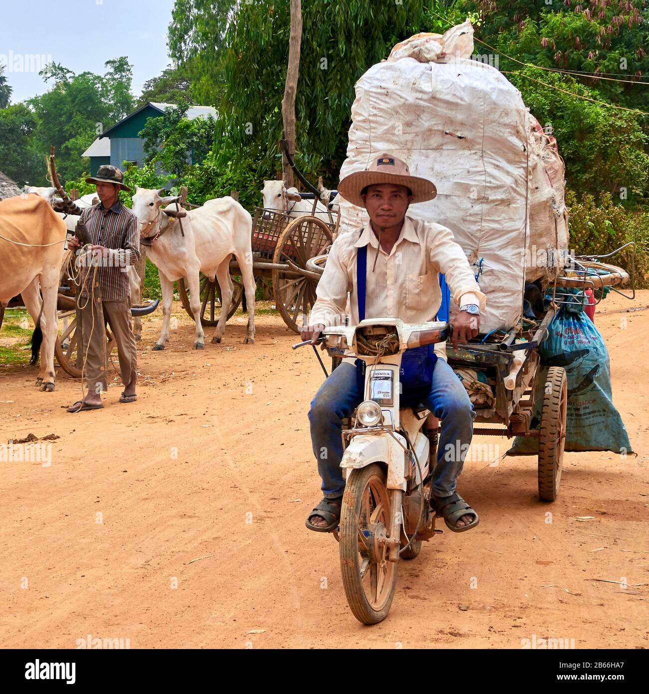 Cambodia, Siem Reap Province. Traditional KAMPONG TRALACH agricultural ...