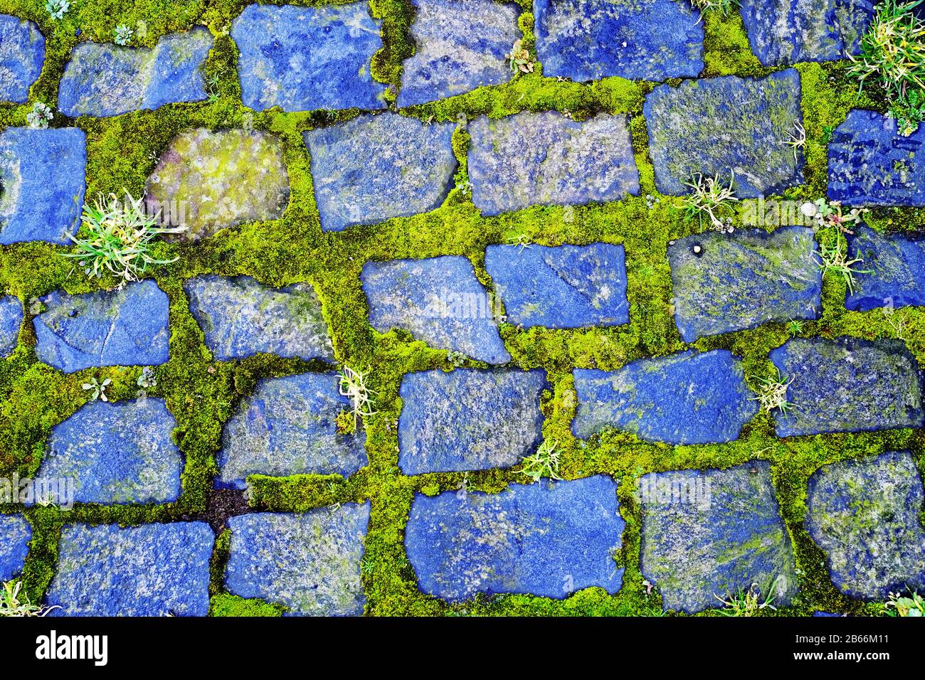 Blue cobblestone pattern with moss and grasses Stock Photo - Alamy