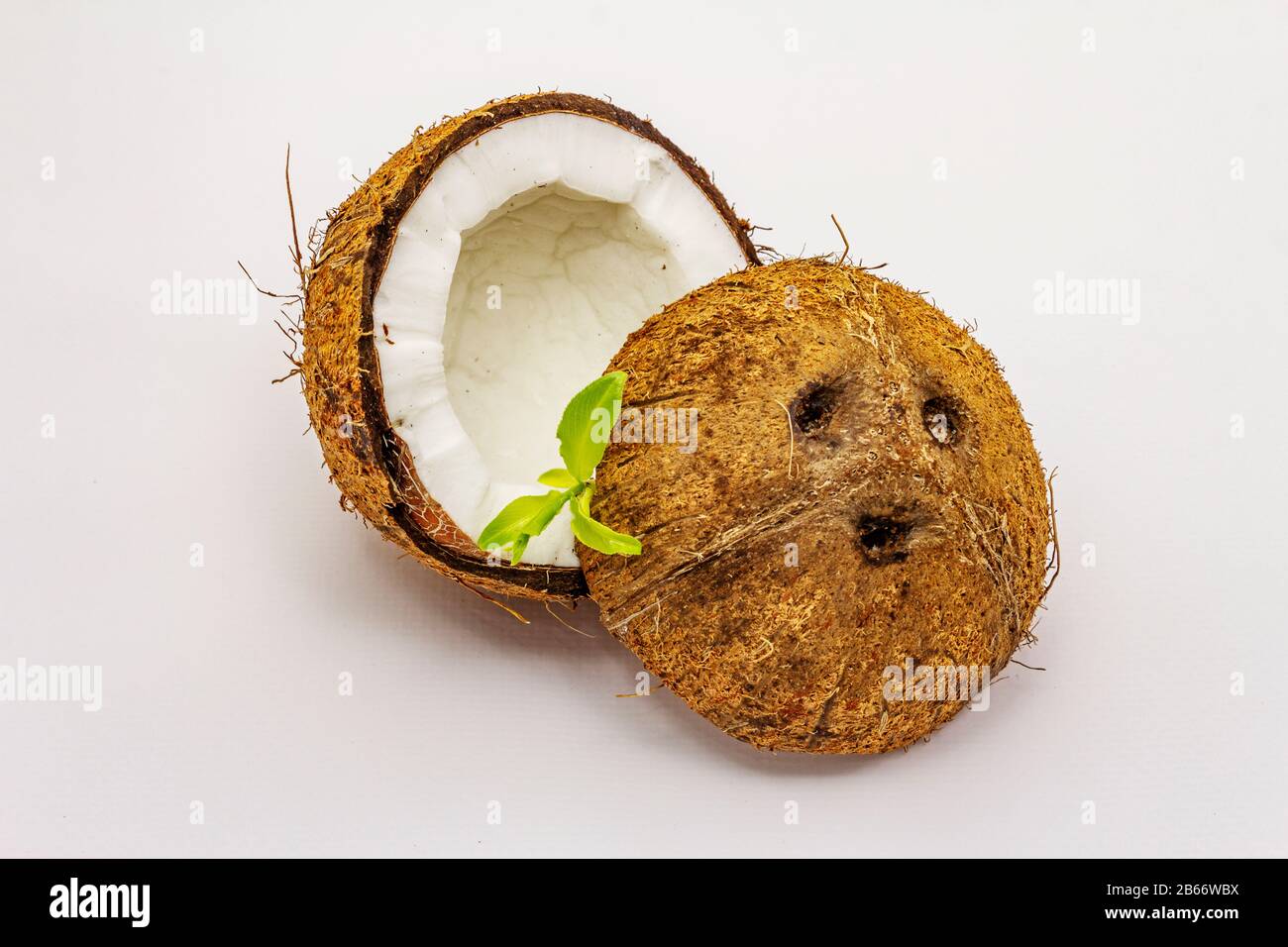 Ripe coconut cut on two half isolated on white background. Fresh fruit ...