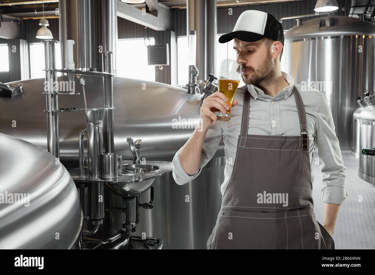 Professional brewer on his own craft alcohol production. Specialist ...