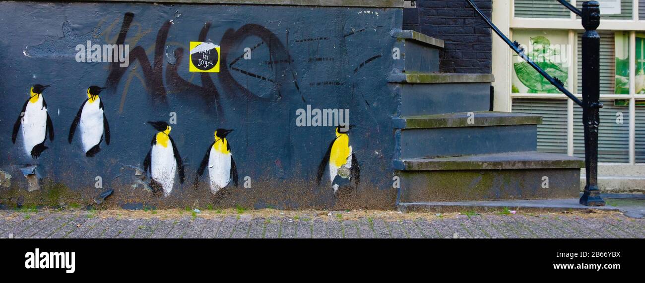 horizontal panoramic view of Street-art penguins on a wall with stairs ...